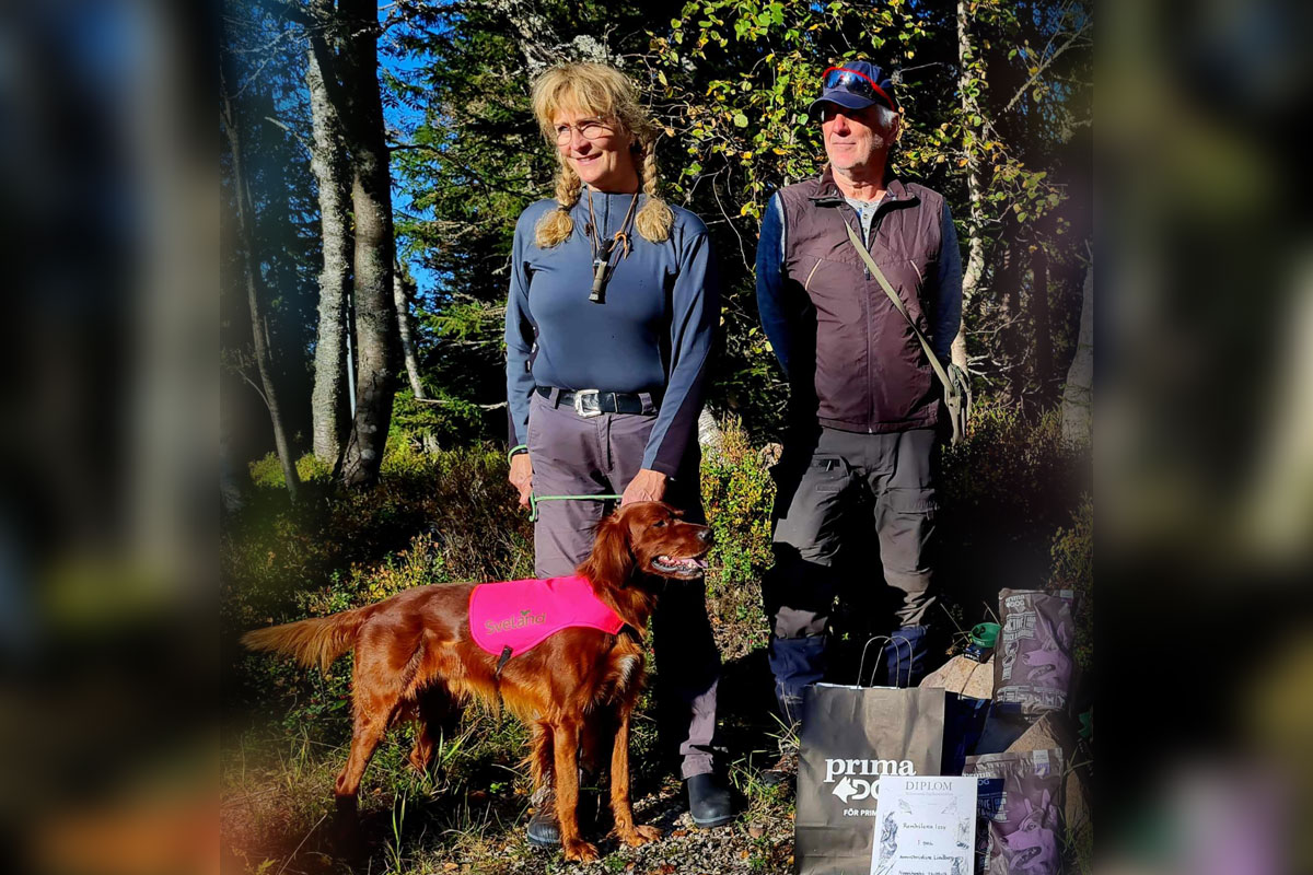 1 SKL för Remkilens Izzy